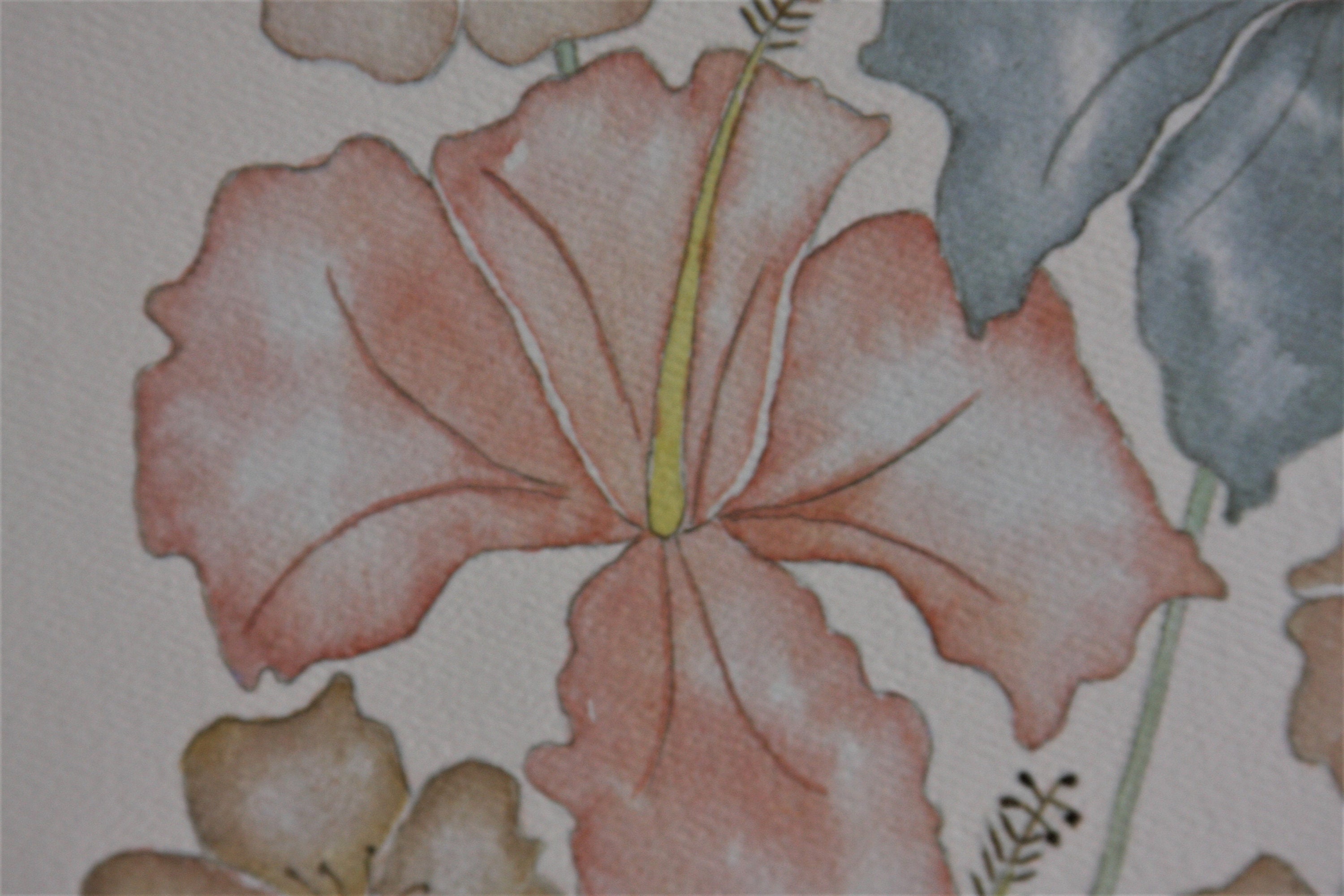 Two 1987 hibiscus Signed Botanical Lithograph Prints by Pat Moran ...