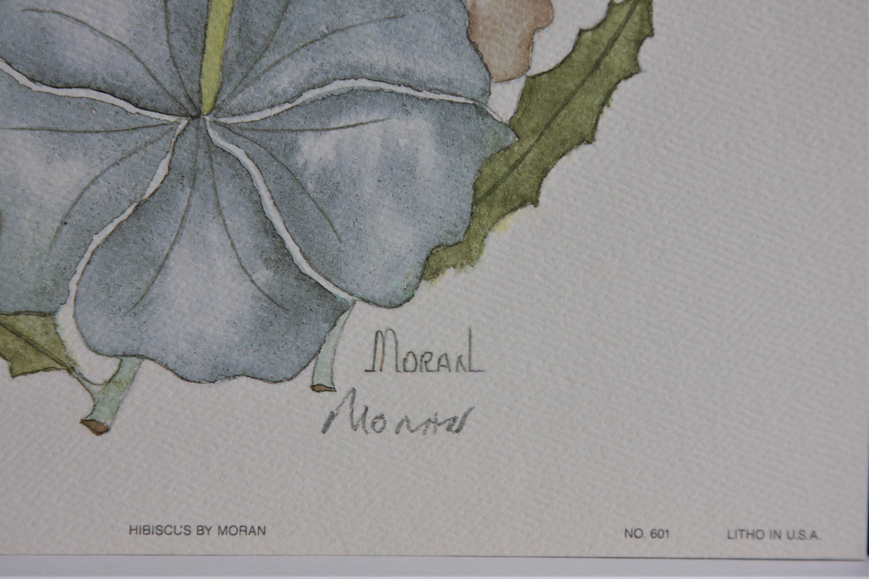 Two 1987 hibiscus Signed Botanical Lithograph Prints by Pat Moran ...