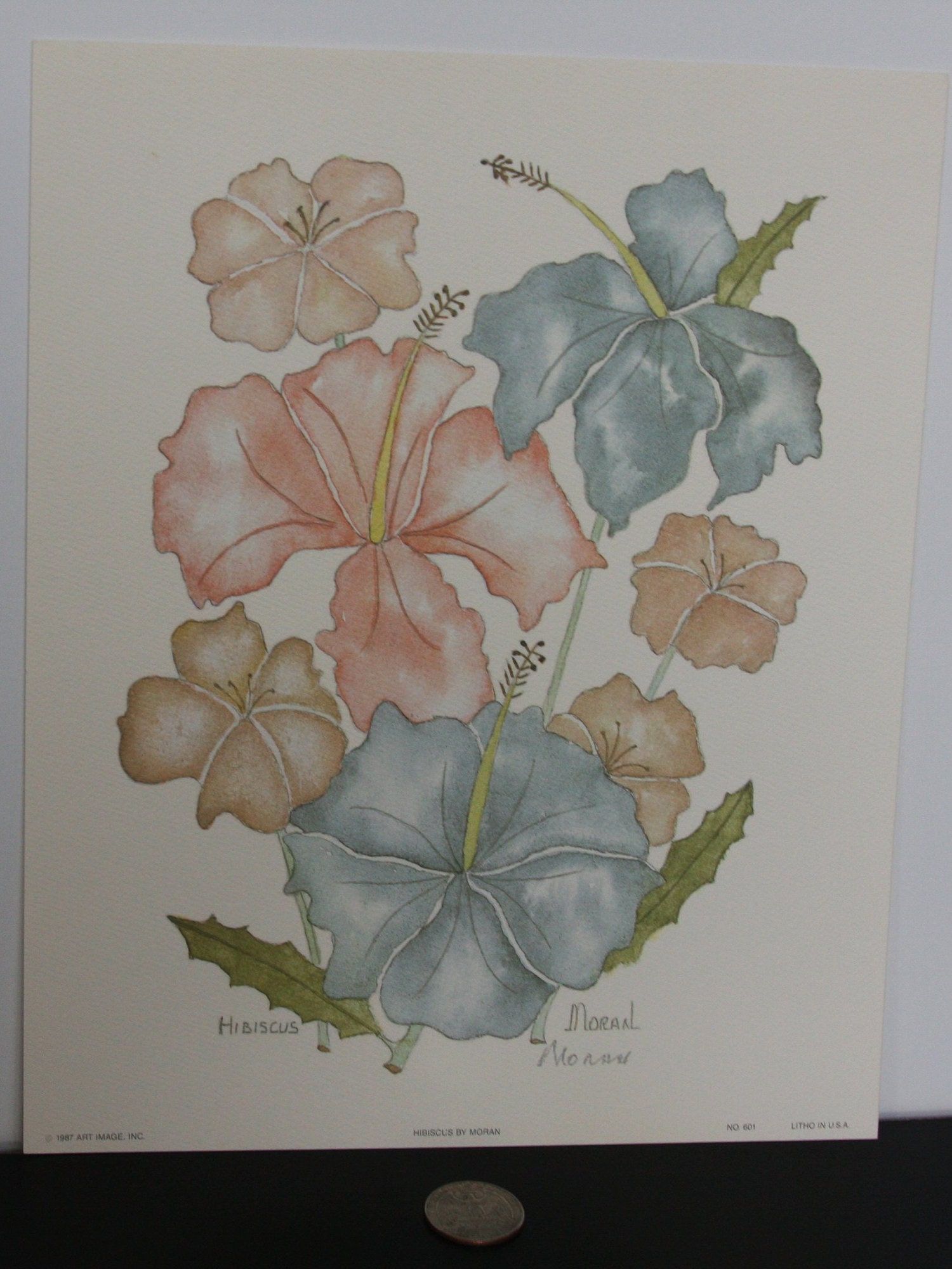Two 1987 hibiscus Signed Botanical Lithograph Prints by Pat Moran ...