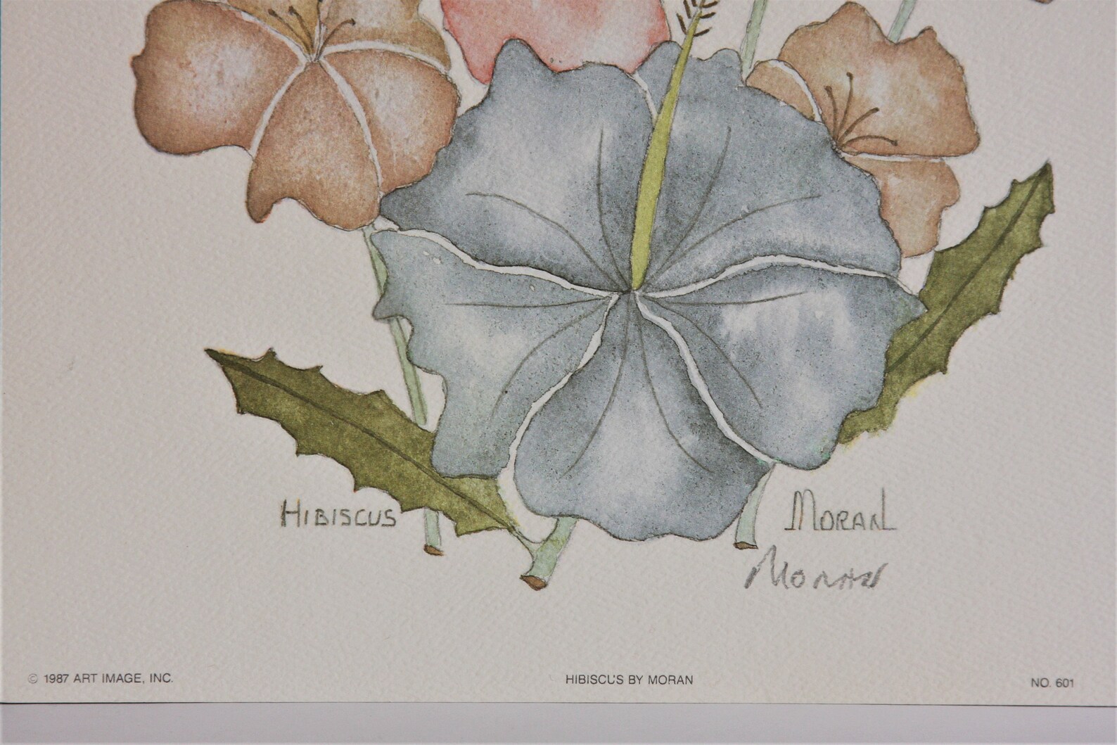 Two 1987 "hibiscus" Signed Botanical Lithograph Prints by Pat Moran ...