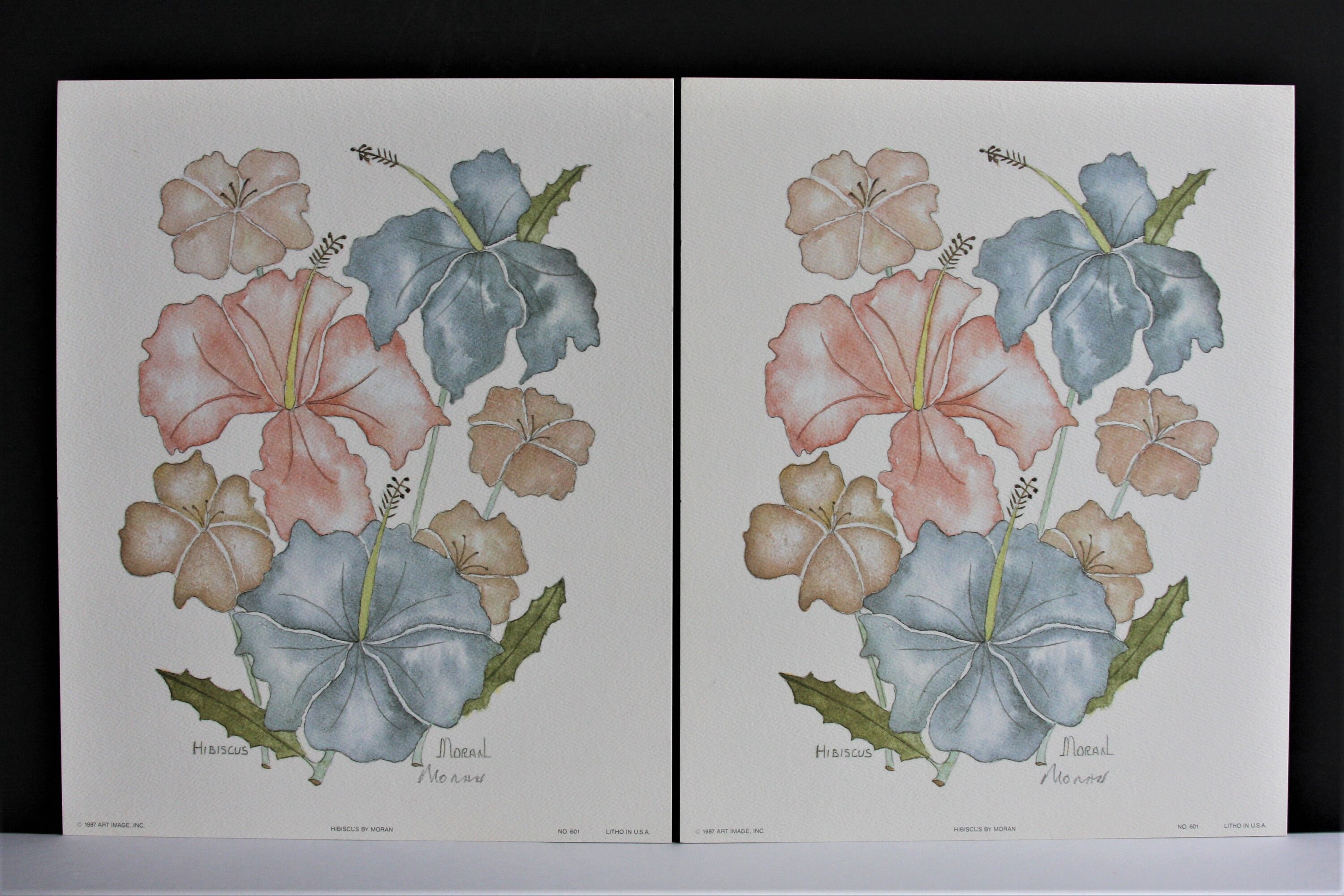 Two 1987 hibiscus Signed Botanical Lithograph Prints by Pat Moran ...