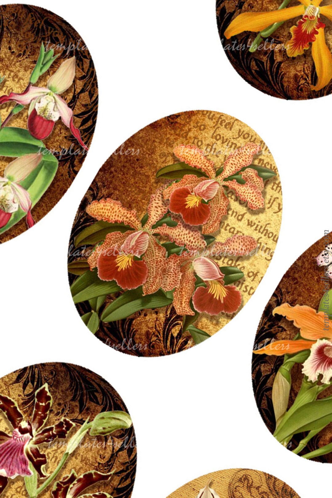 Digital Collage Sheet Orchids Flowers 30x40mm Oval Original Images ...