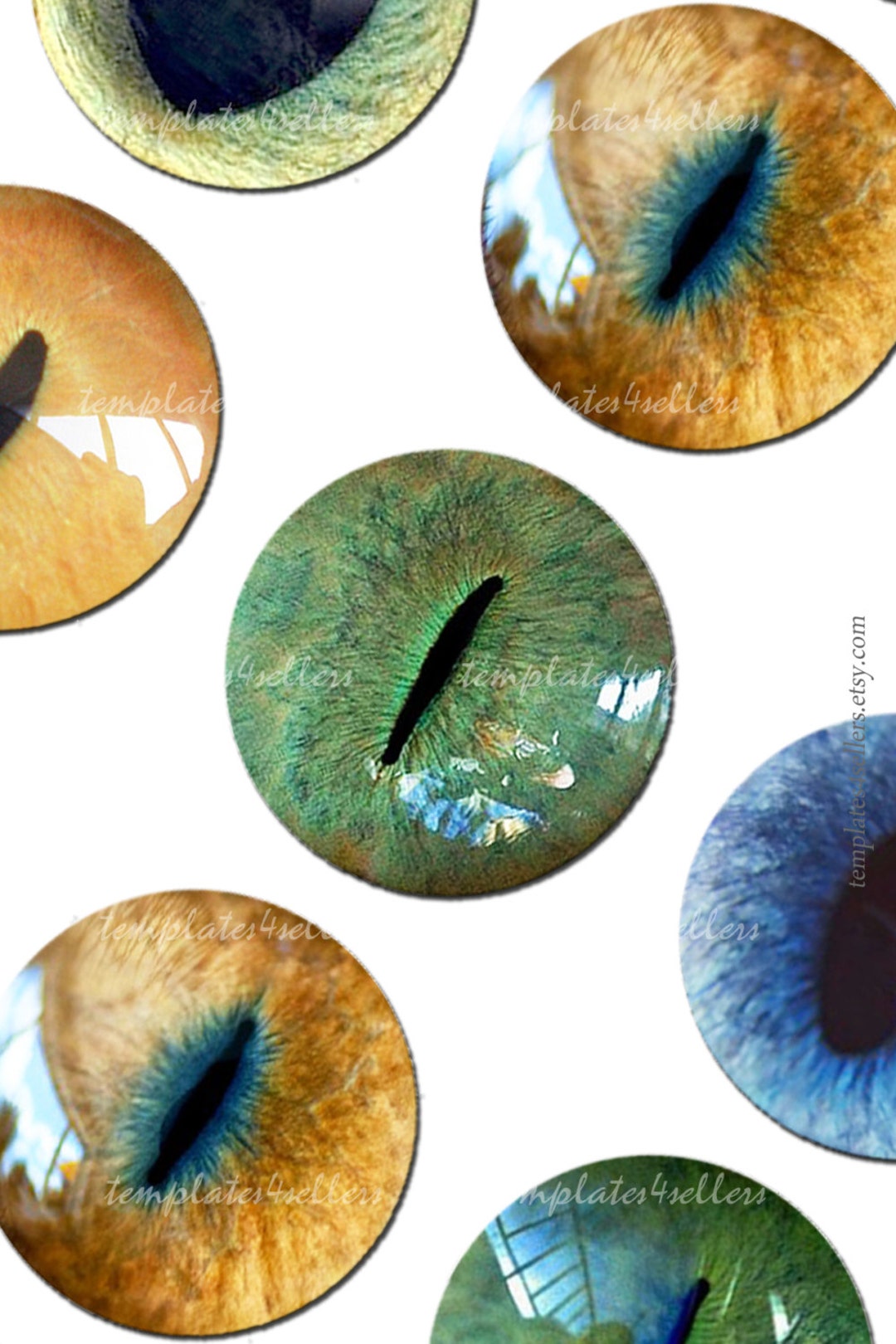 Digital Collage Sheet Cat's Eyes Modern 1 Inch Round Images for ...