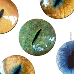 Digital Collage Sheet Cat's Eyes Modern 1 Inch Round Images for ...
