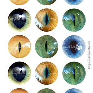 Digital Collage Sheet Cat's Eyes Modern 1 Inch Round Images for ...