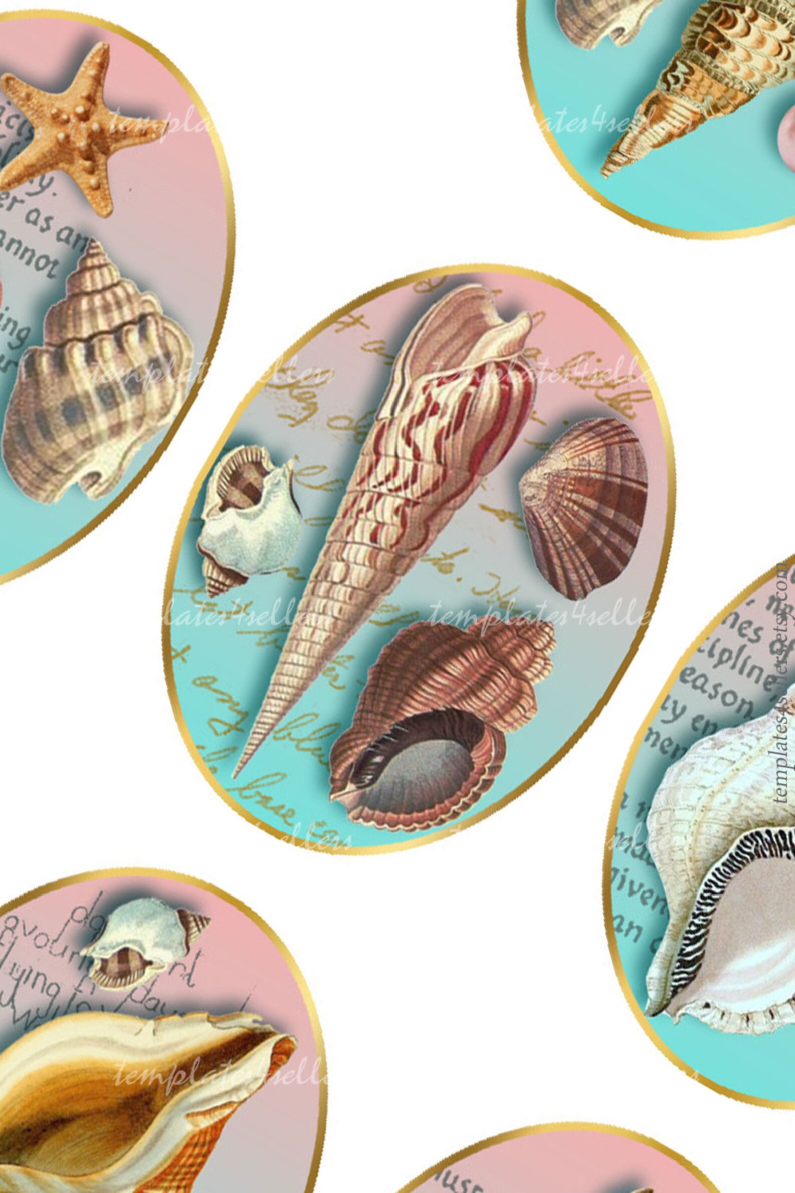 Sea Shell 30x40 Mm Images Digital Collage Sheet Scrapbooking - Etsy