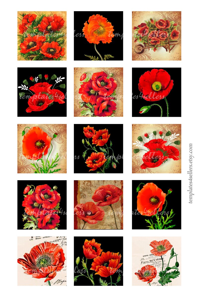Digital Collage Sheet Red Poppy 1x1 Inch Square Images - Etsy