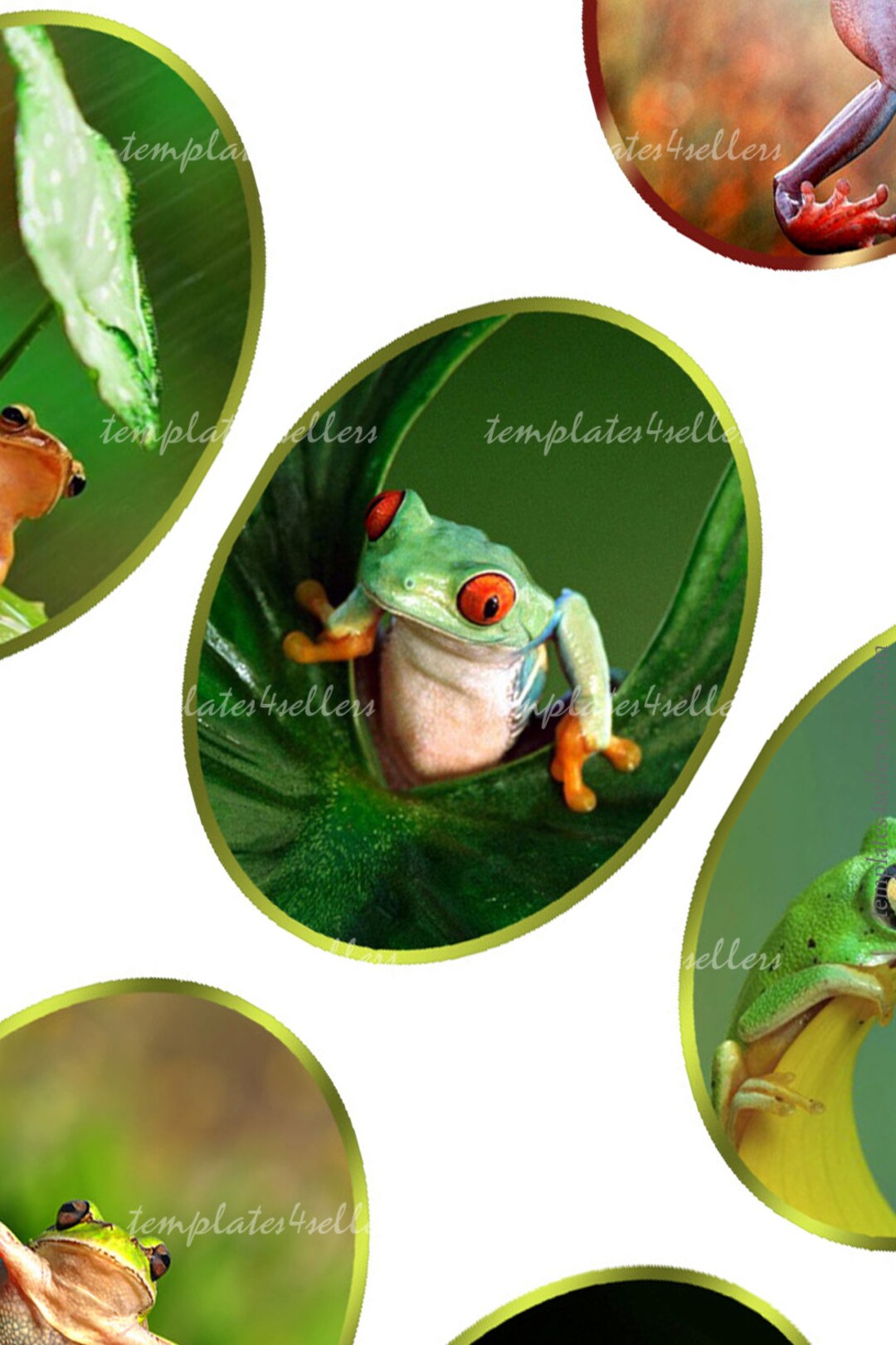 Digital Collage Sheet Funny Frog 30x40mm Oval Images Vintage ...