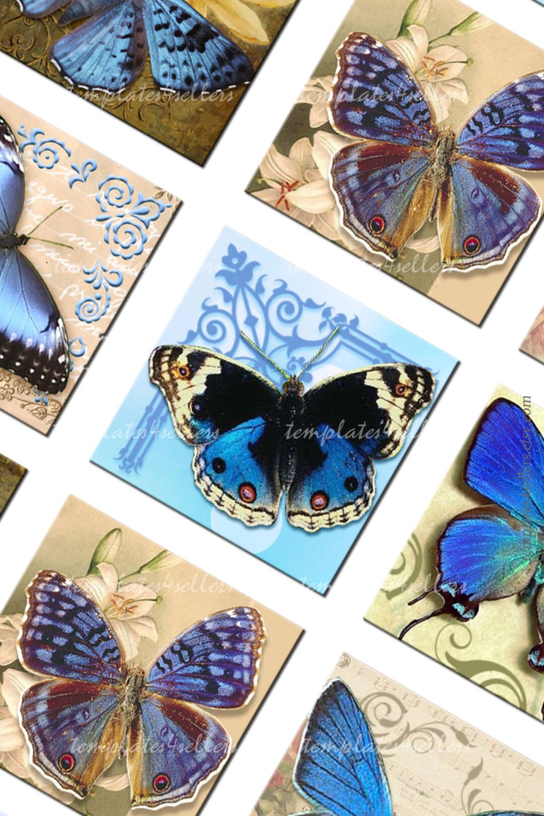 Digital Collage Sheet Blue Butterflies 1 Inch Square Images - Etsy