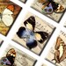 Digital Collage Sheet Vintage 1x1 Inch Size Butterflies Square 5.001 - Etsy