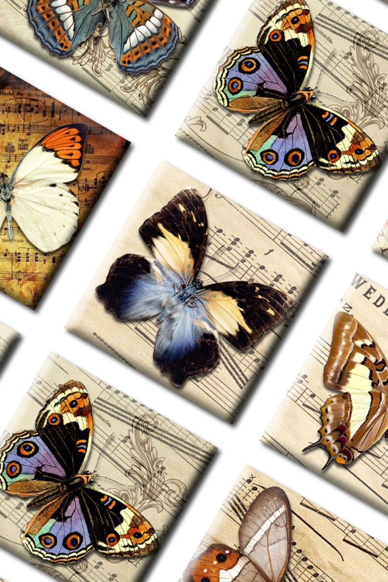 Digital Collage Sheet Vintage 1x1 Inch Size Butterflies Square - Etsy