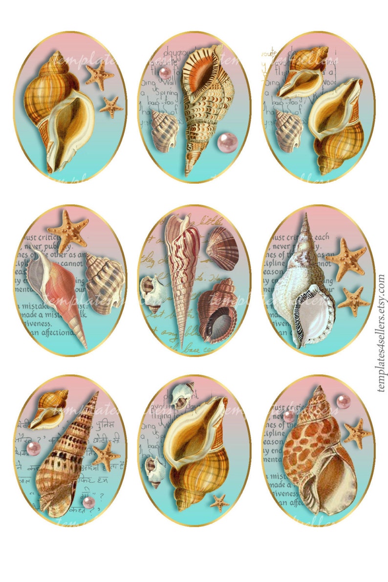 Sea Shell 30x40 Mm Images Digital Collage Sheet Scrapbooking - Etsy