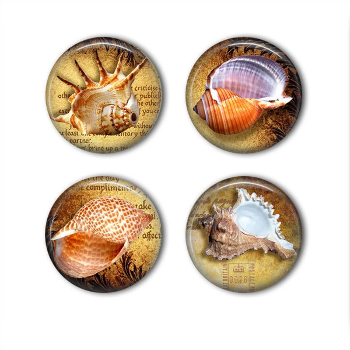 Digital Photo Template for Glass 1 Inch Round Magnets on White | Etsy