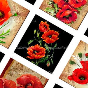 Digital Collage Sheet Red Poppy 1x1 Inch Square Images Original ...