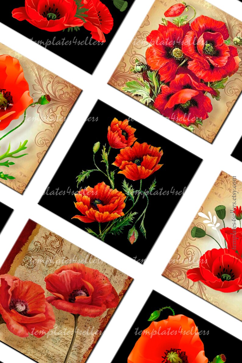 Digital Collage Sheet Red Poppy 1x1 inch square images | Etsy