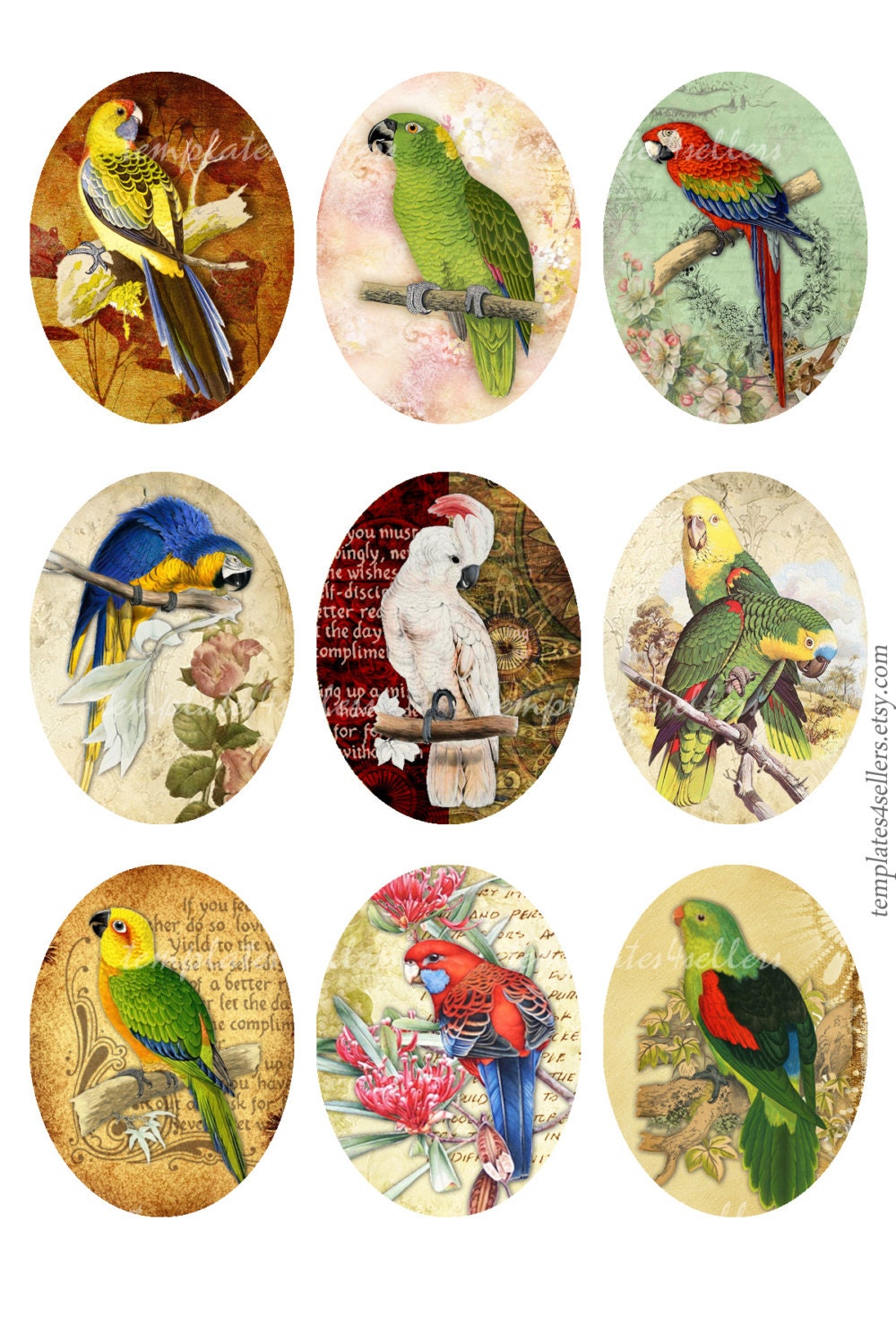 Digital Collage Sheet Parrot on Vintage Background 30x40mm | Etsy