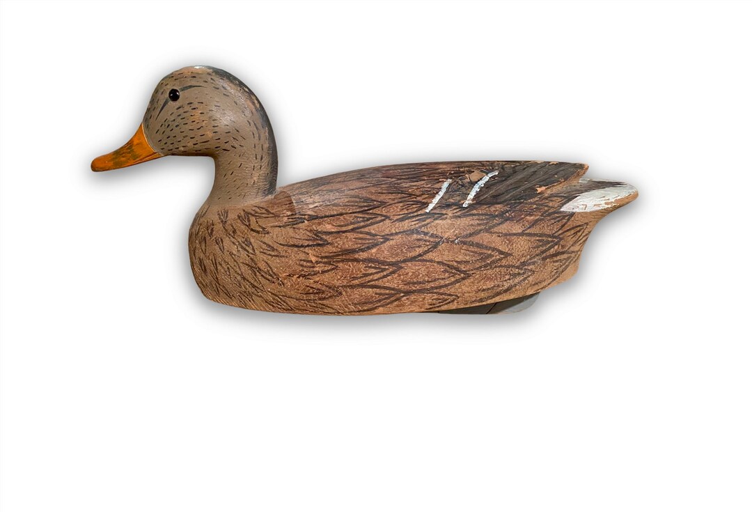 Beautiful Vintage Magnum Hen Mallard Duck Glass Eyes Duck Decoy With ...