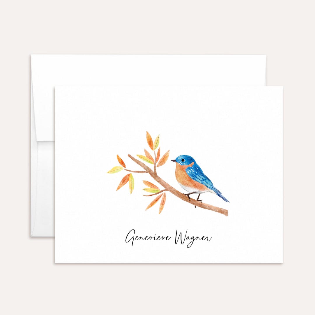 Personalized Bluebird Stationery - Eastern Bluebird Note Cards - Folded ...