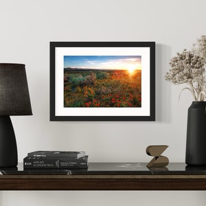 Sunset Antelope Valley Photo Print California Poppy Flowers Photography ...