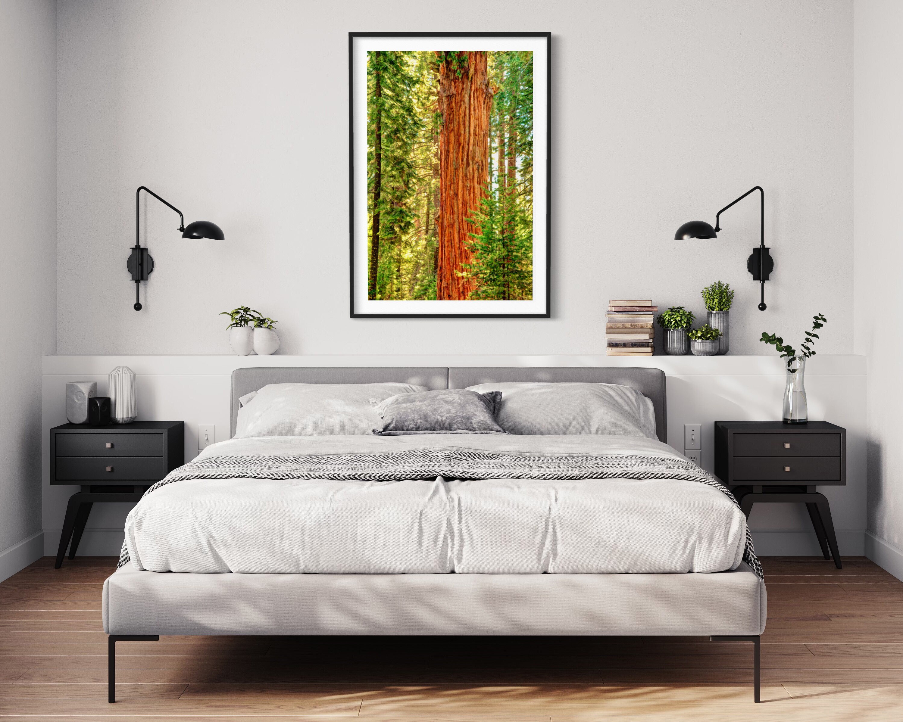 Sequoia Tree California National Park Photography Print Landscape Fine ...