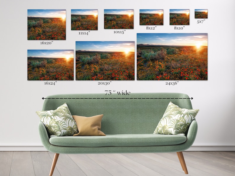 Sunset Antelope Valley Photo Print California Poppy Flowers Photography ...