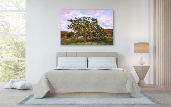 California Oak Tree Photo Agoura Hills Oak Tree sunset - Etsy