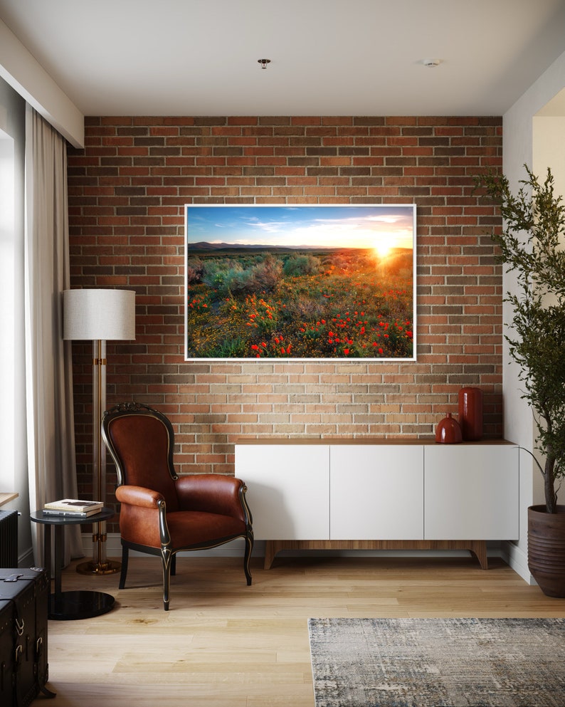 Sunset Antelope Valley Photo Print California Poppy Flowers Photography ...