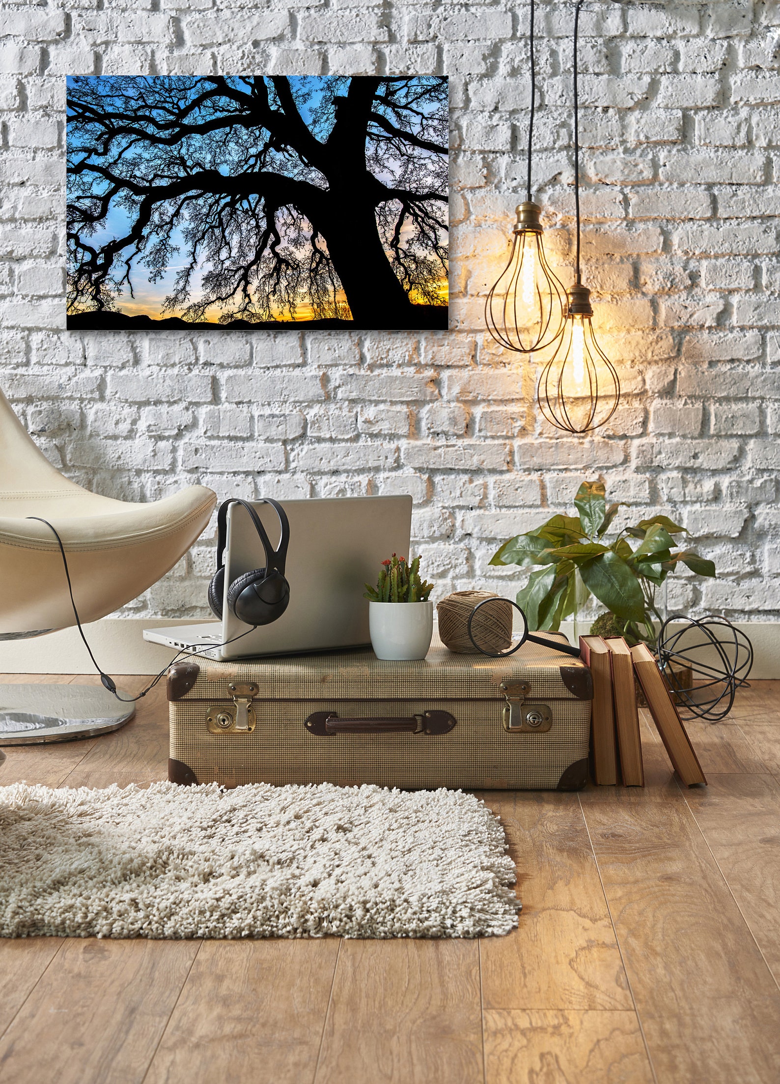 California Oak Tree Oak Tree Photo Thousand Oaks Print Sunset ...