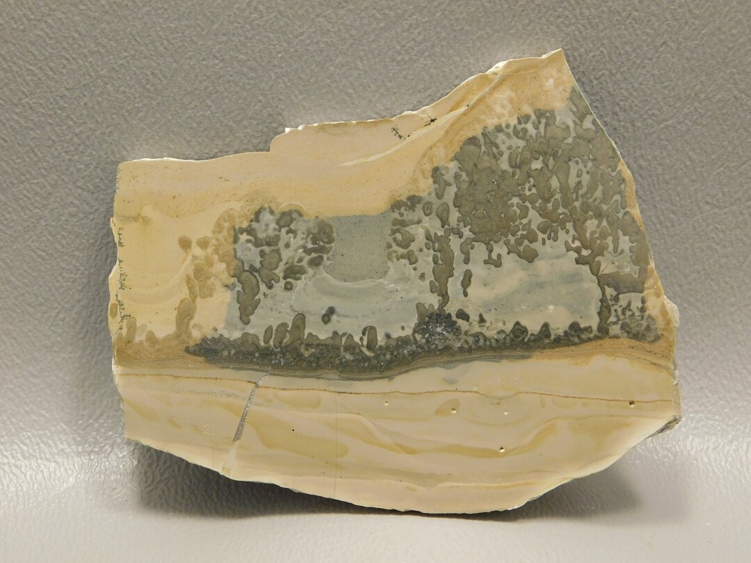 Cotham Marble Polished Stone Slab Small Collector Stromatolite - Etsy
