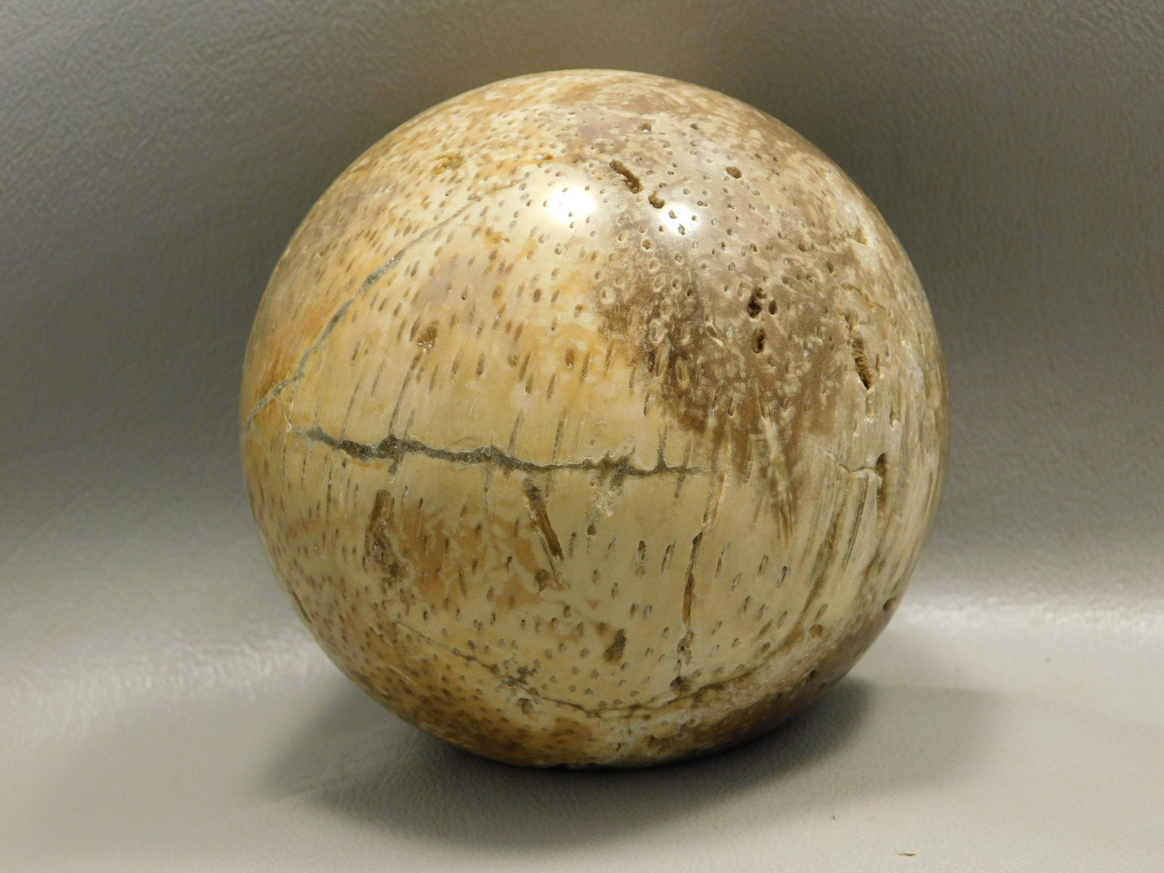 Petrified Palm Wood Stone Sphere Carving 3.1 inch or 80 mm | Etsy