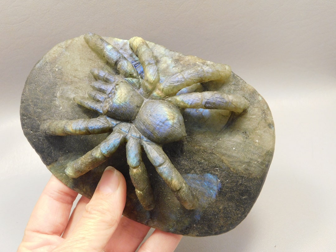 Tarantula Spider Figurine Insect Labradorite Carving 5.65 Inch Carved ...