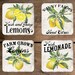 Lemon Farmhouse Coasters, Lemon Coasters, Wooden Coasters, Drink ...