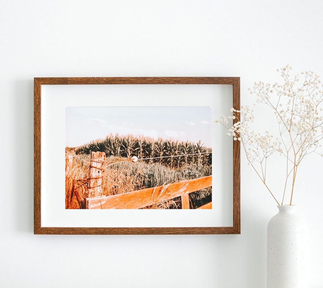 Modern Farmhouse Fall Decor, Fall Farm Pictures, Fall Landscape ...