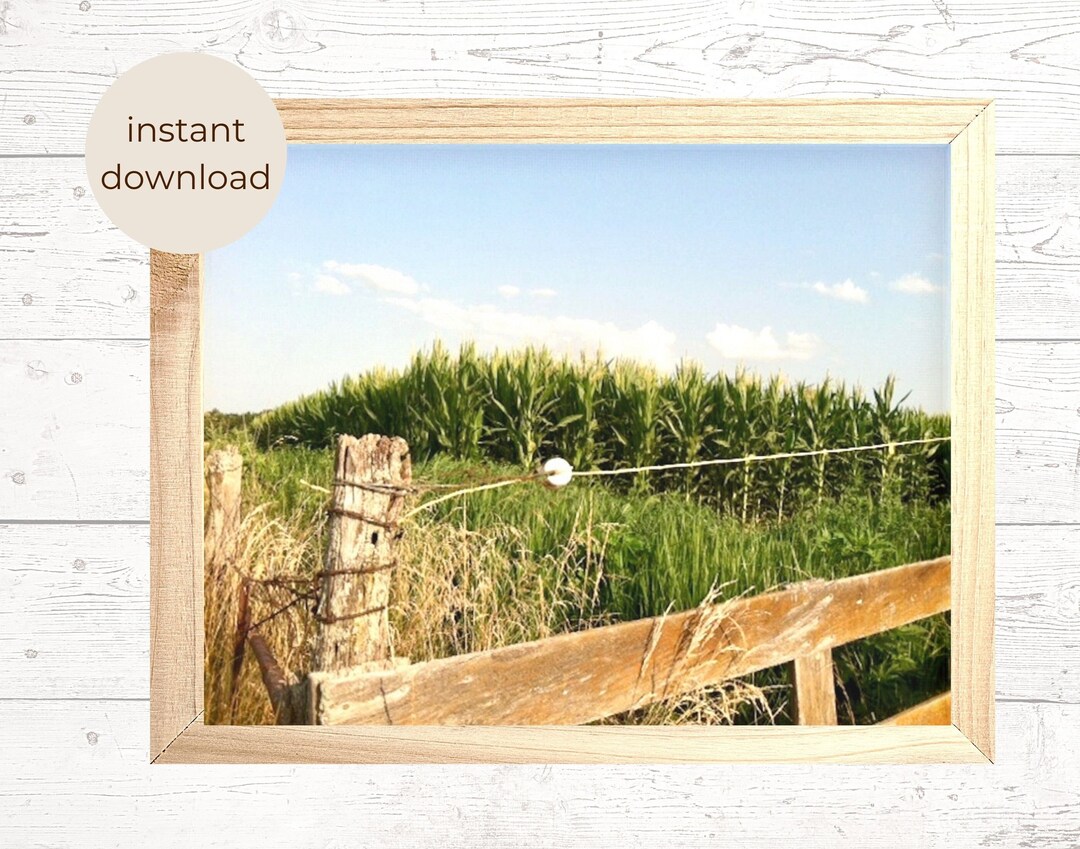 Printable Wall Art, Farm Photography, Farmhouse Decor Prints, Cornfield ...