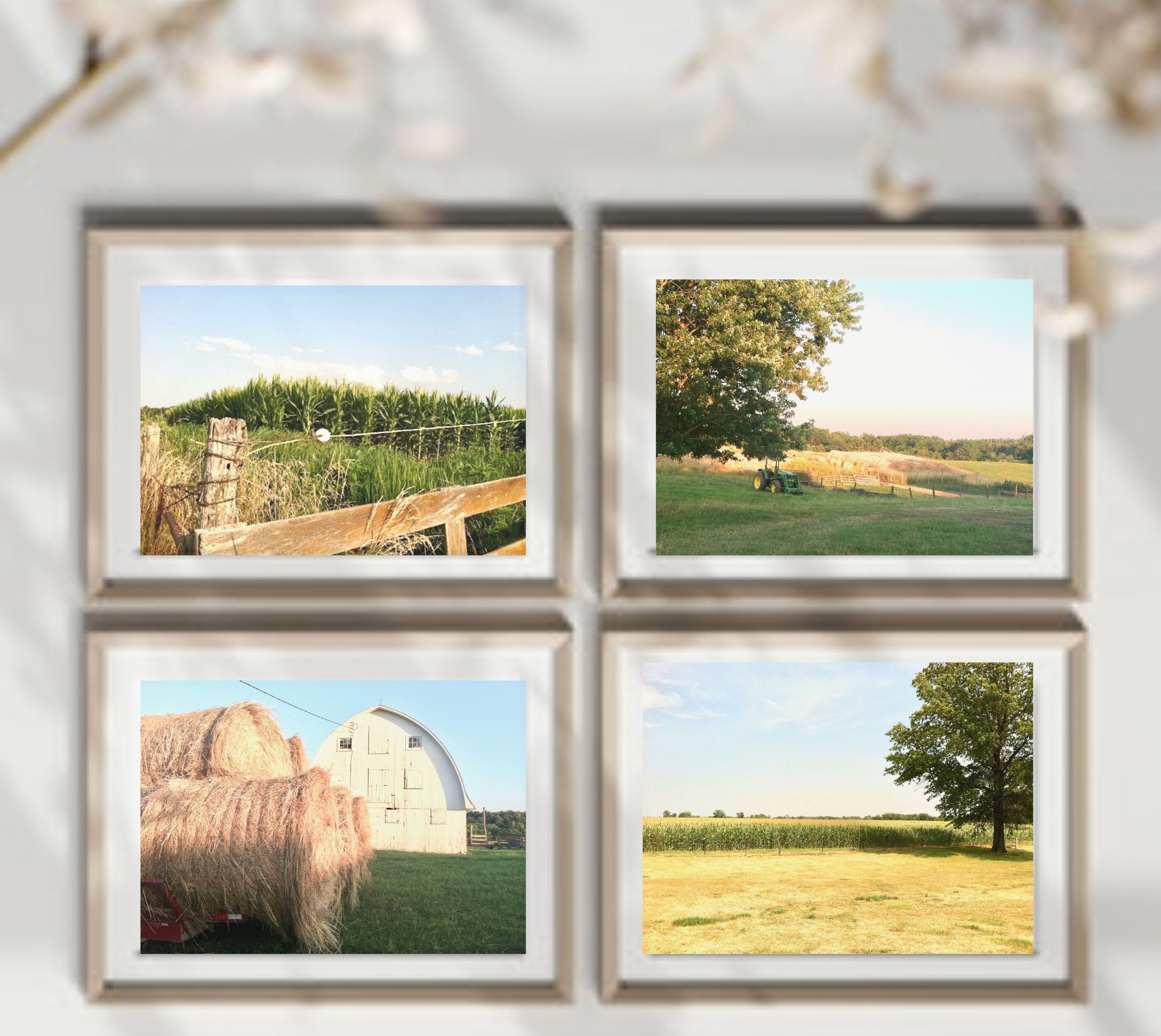 Set of Farm Photos, Landscape Photography, Photographs for Gallery Wall ...