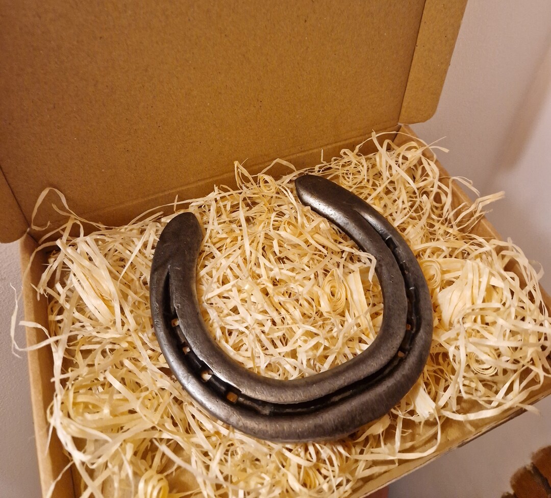 Real Lucky Horse Shoe Worn 11th Steel Wedding Anniversary Good Luck ...