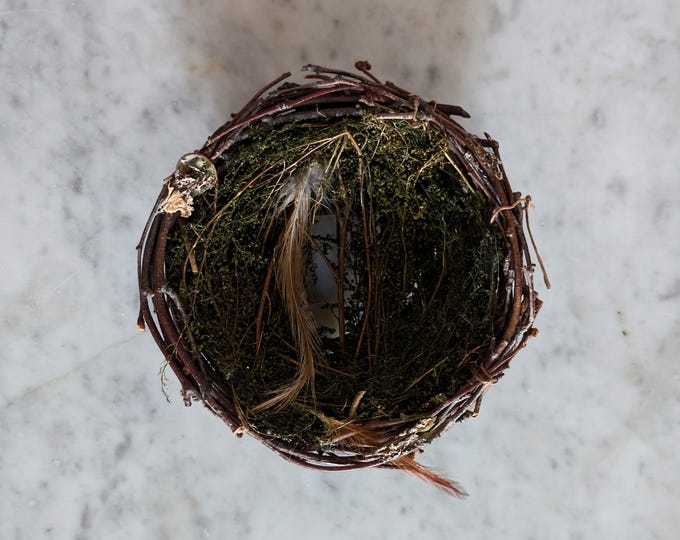 Natural Bird Nest Prop | Rustic Wedding Styling Flat Lay | Flat Lay ...