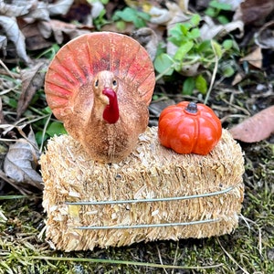 Miniature Turkey on Hay Bale With or Without Pumpkin- Your Choice ...
