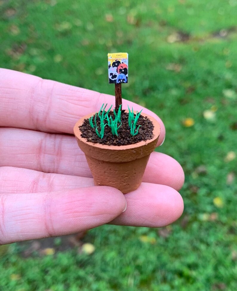 Miniature Pansy Sprouts in Terra Cotta Pot -one Inch Scale -fairy ...