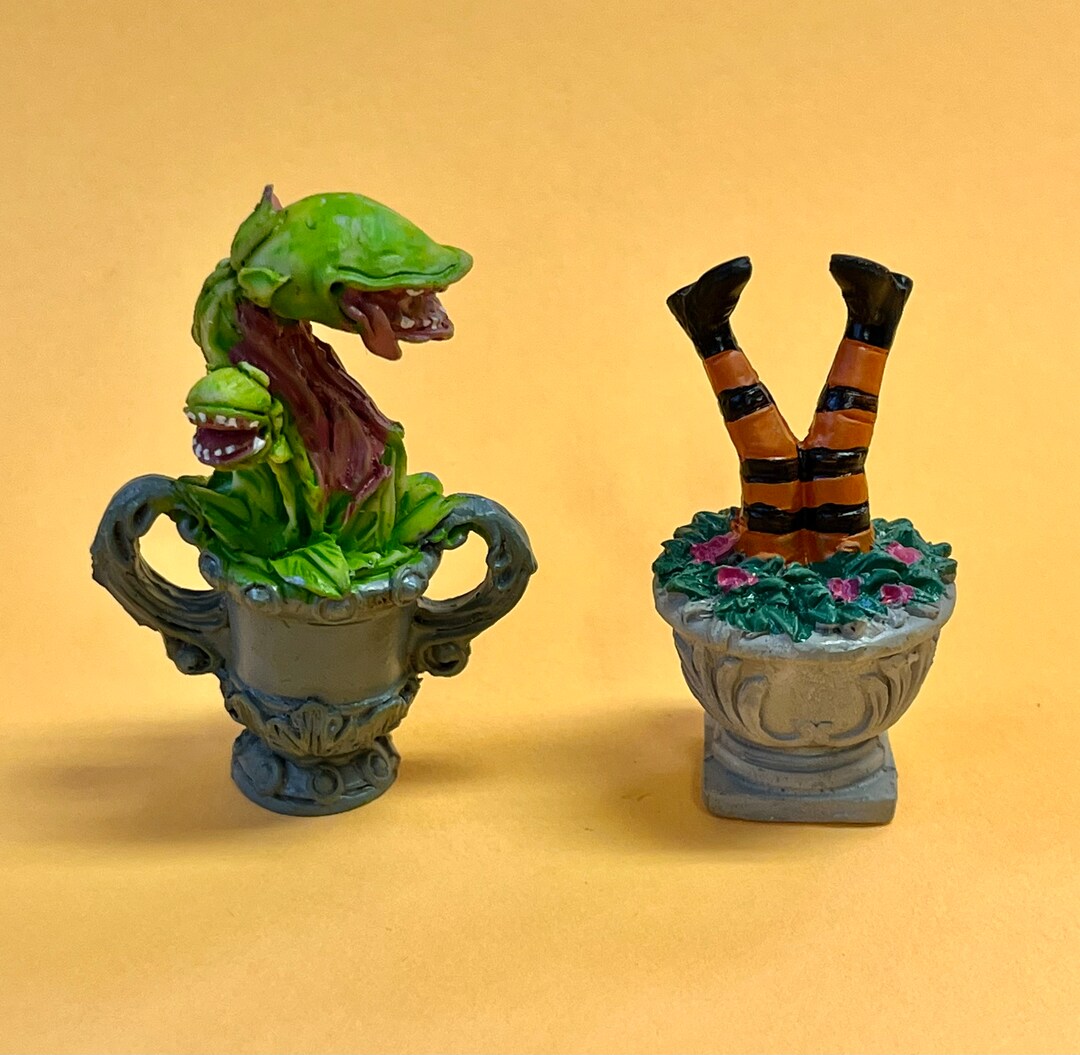 Miniature Venus Flytrap or Witch Legs in Pot - Your Choice - Halloween ...