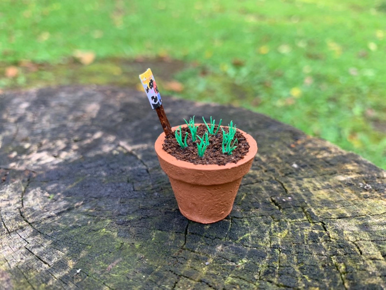 Miniature Pansy Sprouts in Terra Cotta Pot -one Inch Scale -fairy ...