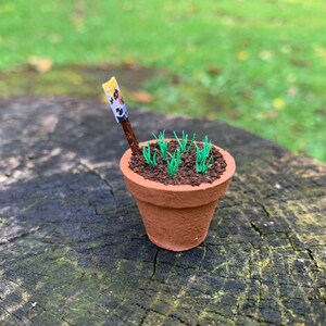 Miniature Pansy Sprouts in Terra Cotta Pot -one Inch Scale -fairy ...