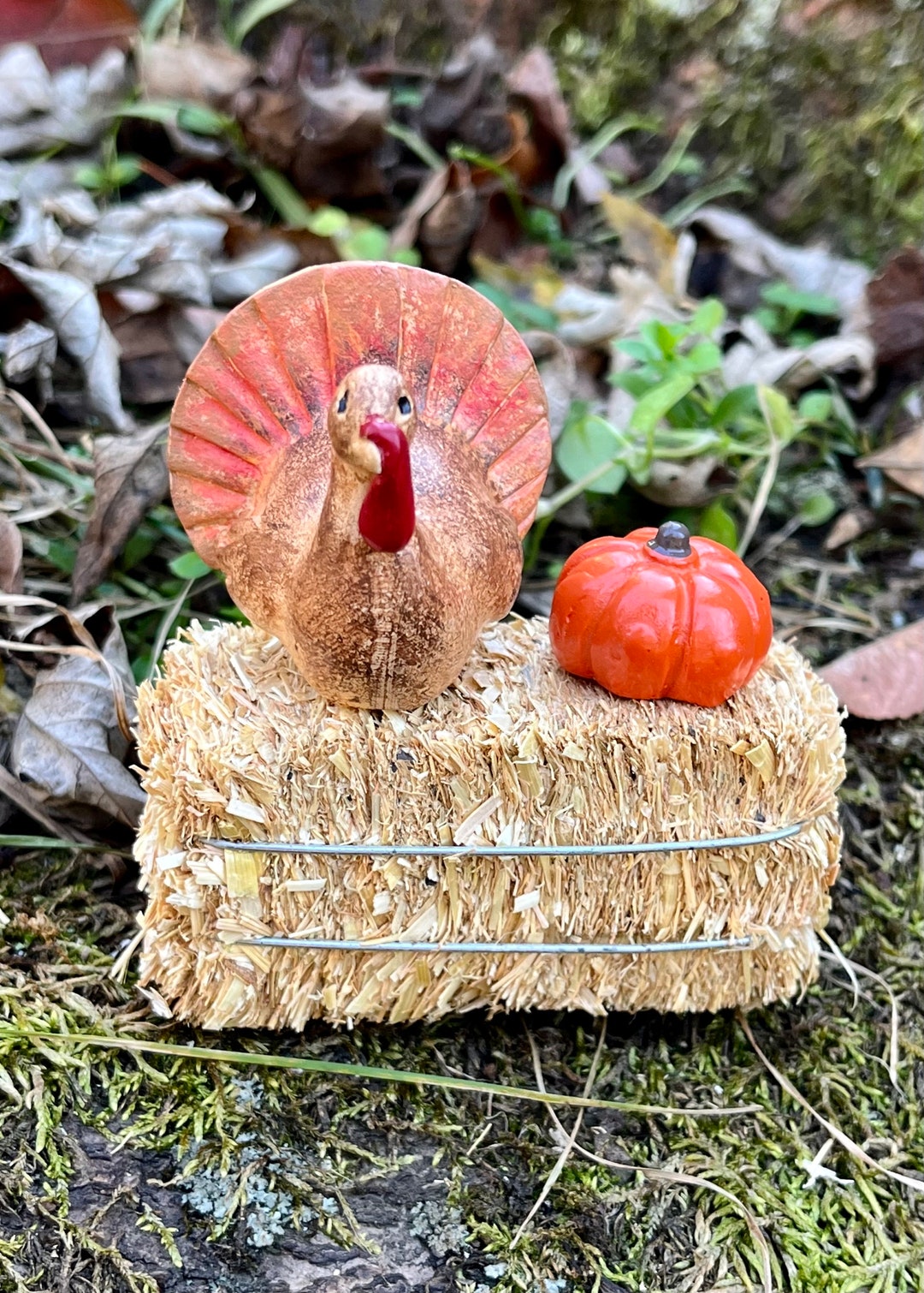 Miniature Turkey on Hay Bale With or Without Pumpkin- Your Choice ...