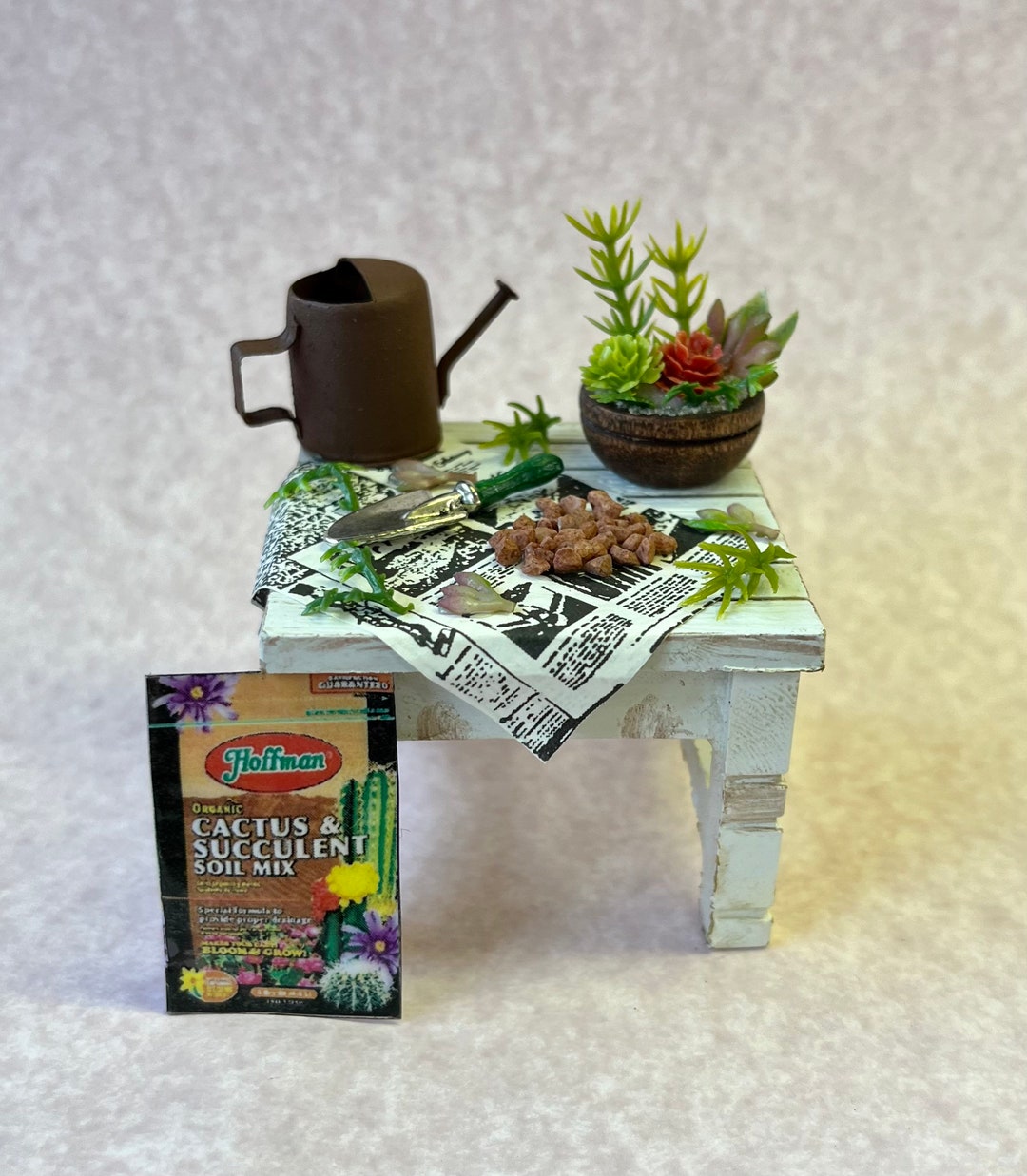 Miniature Succulent Planting Set on Table - Terrarium - Fairy Garden ...