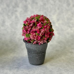 Miniature Topiary in Pot - Your Choice - Miniature Flowers - Miniature ...