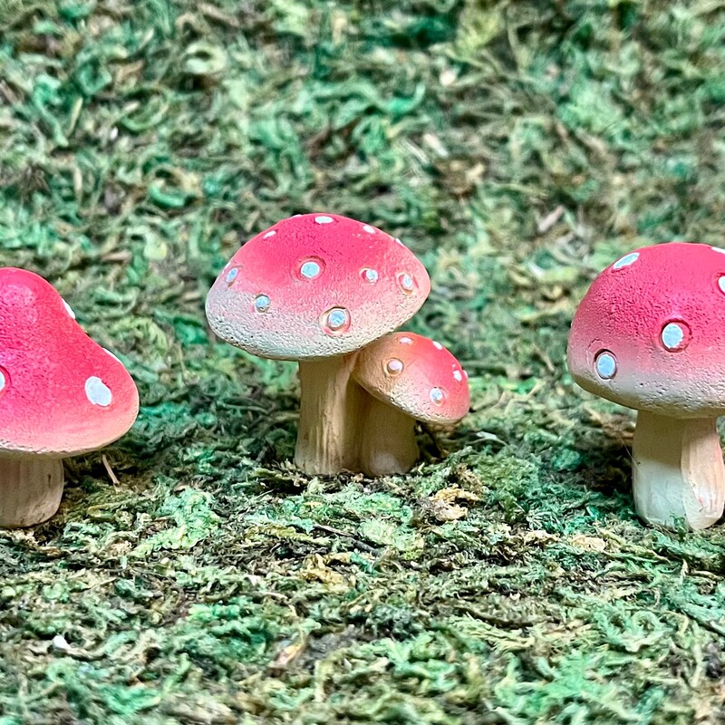 Miniature Mushroom - Etsy