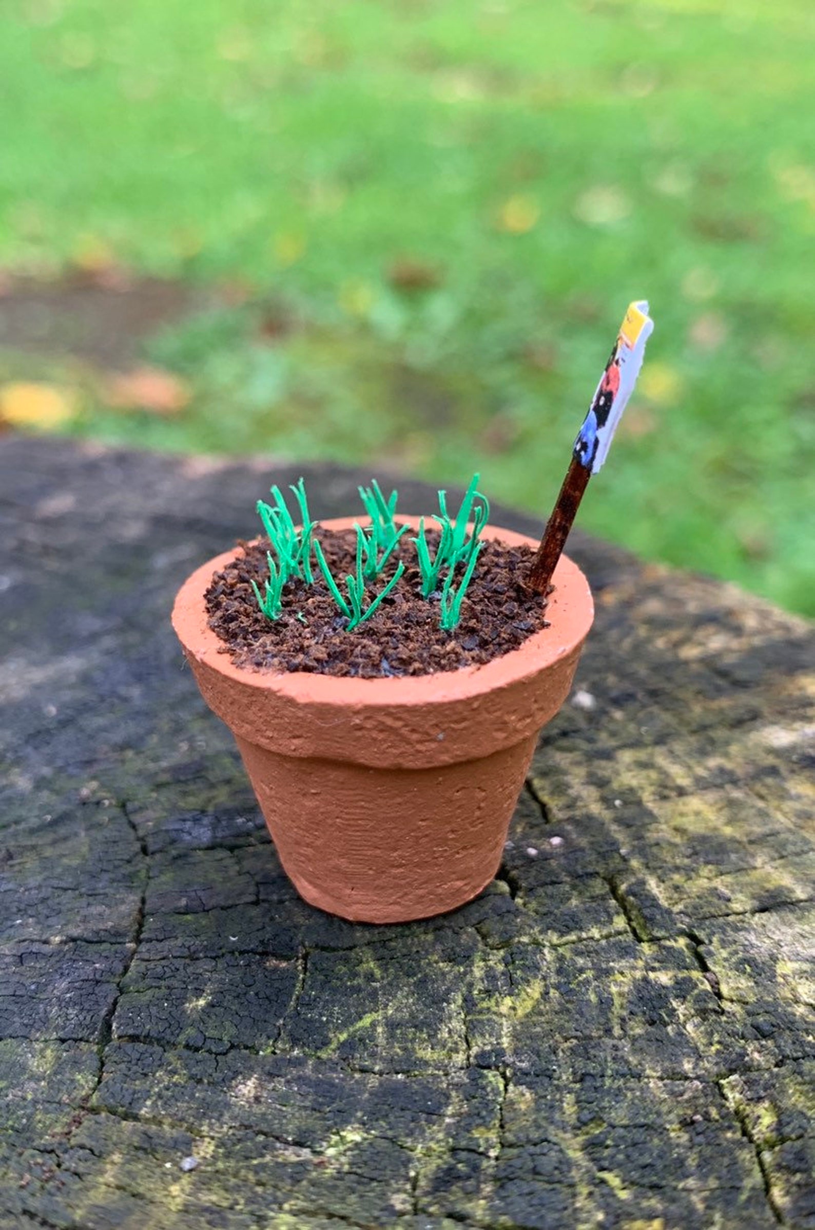 Miniature Pansy Sprouts in Terra Cotta Pot -one Inch Scale -fairy ...
