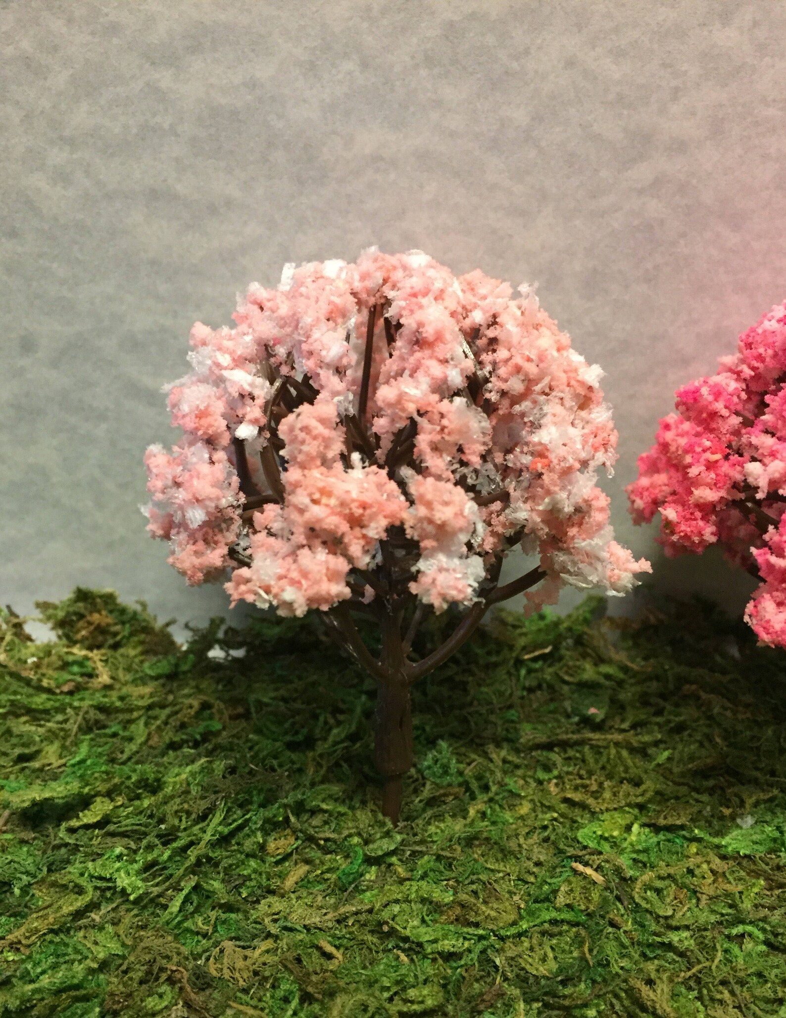 Miniature Spring Trees Your Color Choice Outdoor | Etsy