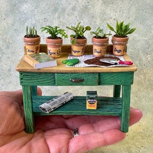 Miniature Herb Planting Set on Table - Terrarium - Fairy Garden ...