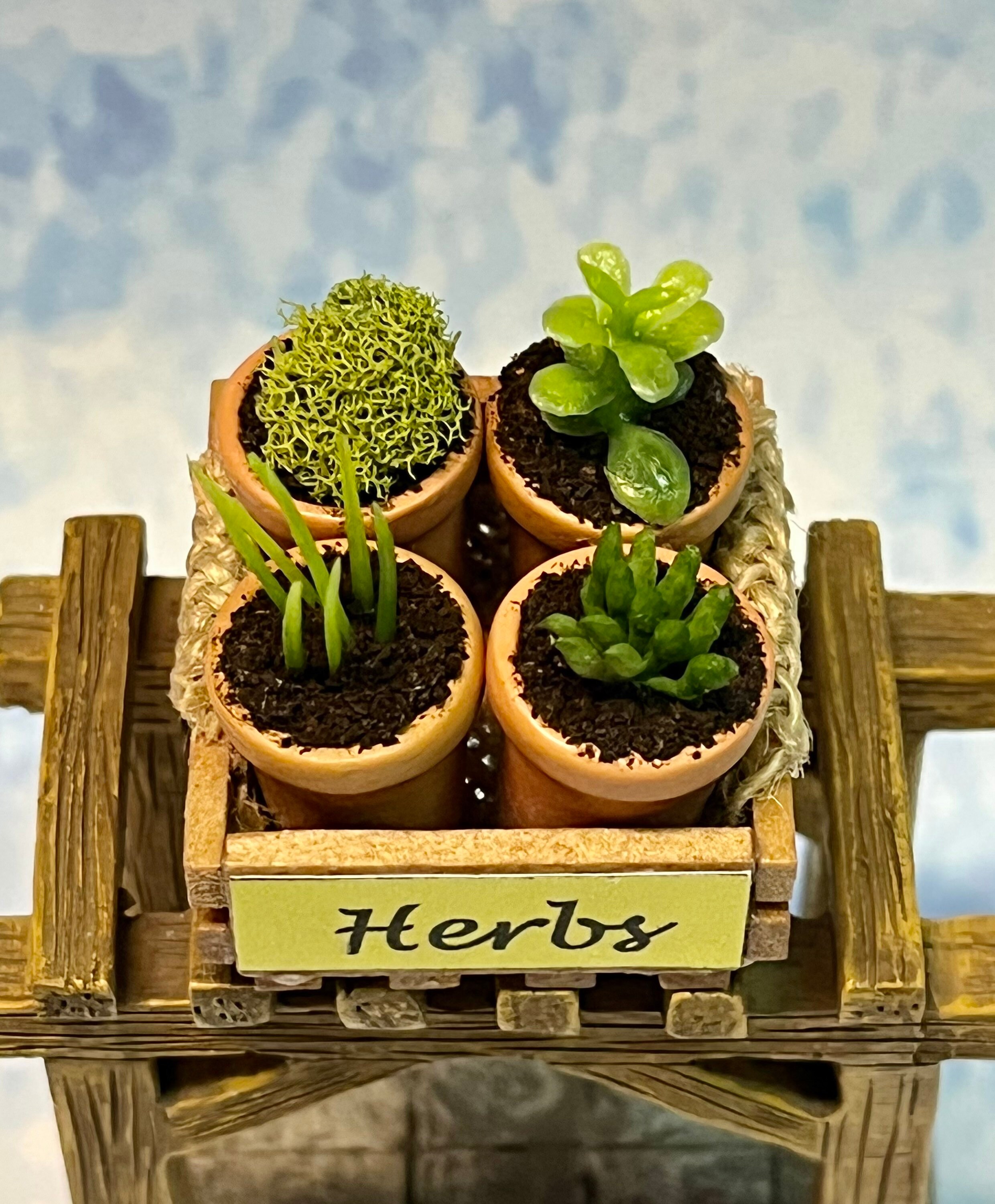 Miniature Herb Crate - Miniature Herbs - Cake Toppers - Fairy Garden ...